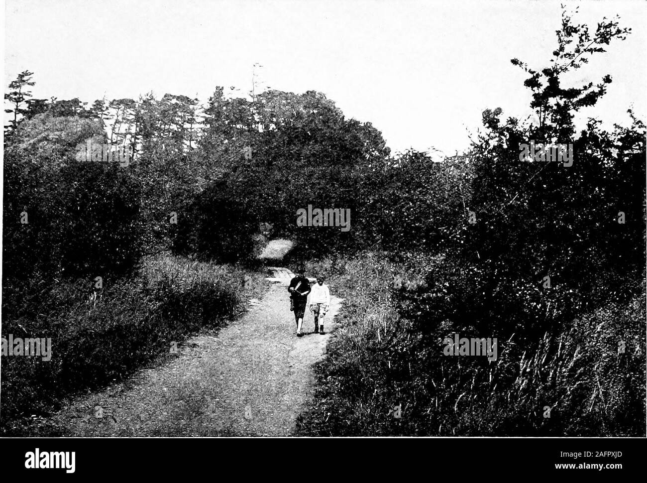 The wilbury, letchworth garden city hi-res stock photography and images ...