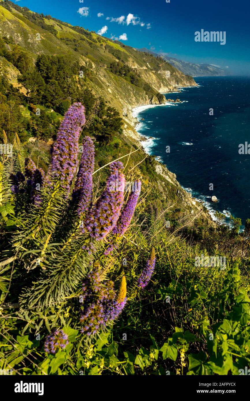 APRIL 9, 2019, CENTRAL COAST, CALIFORNIA, USA - Springtime on ...