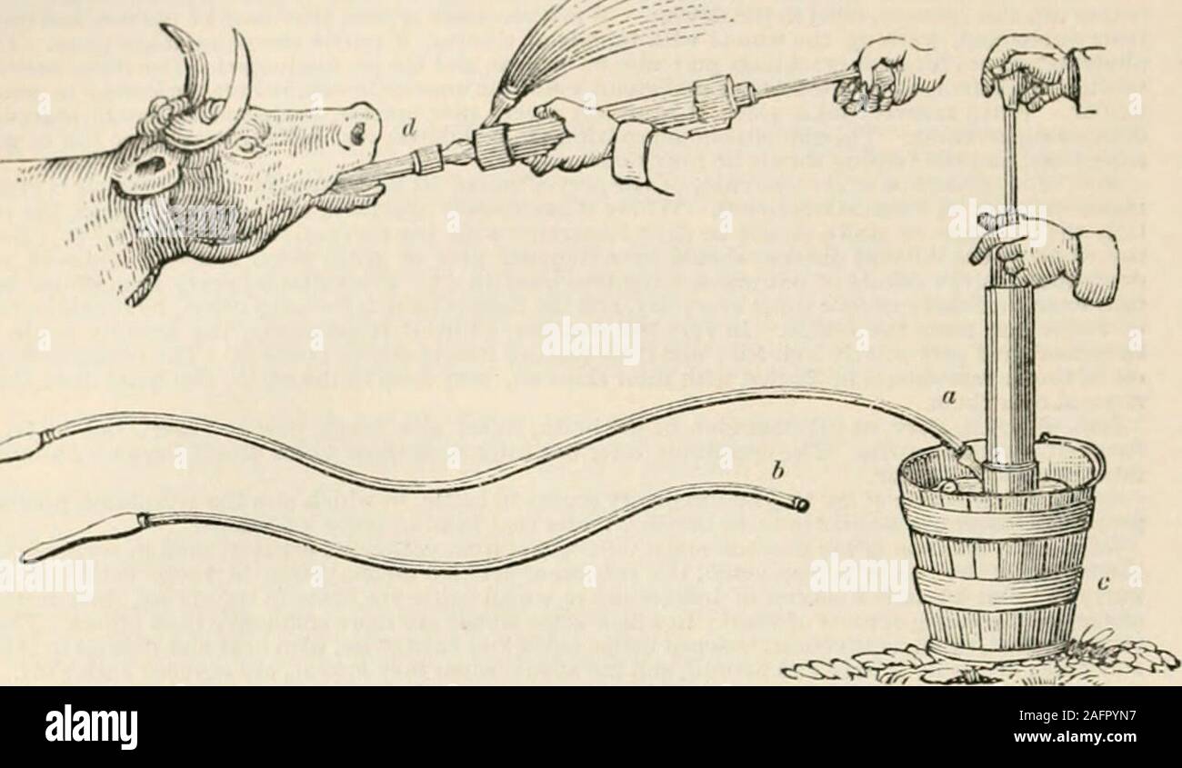 Punc hi-res stock photography and images - Alamy