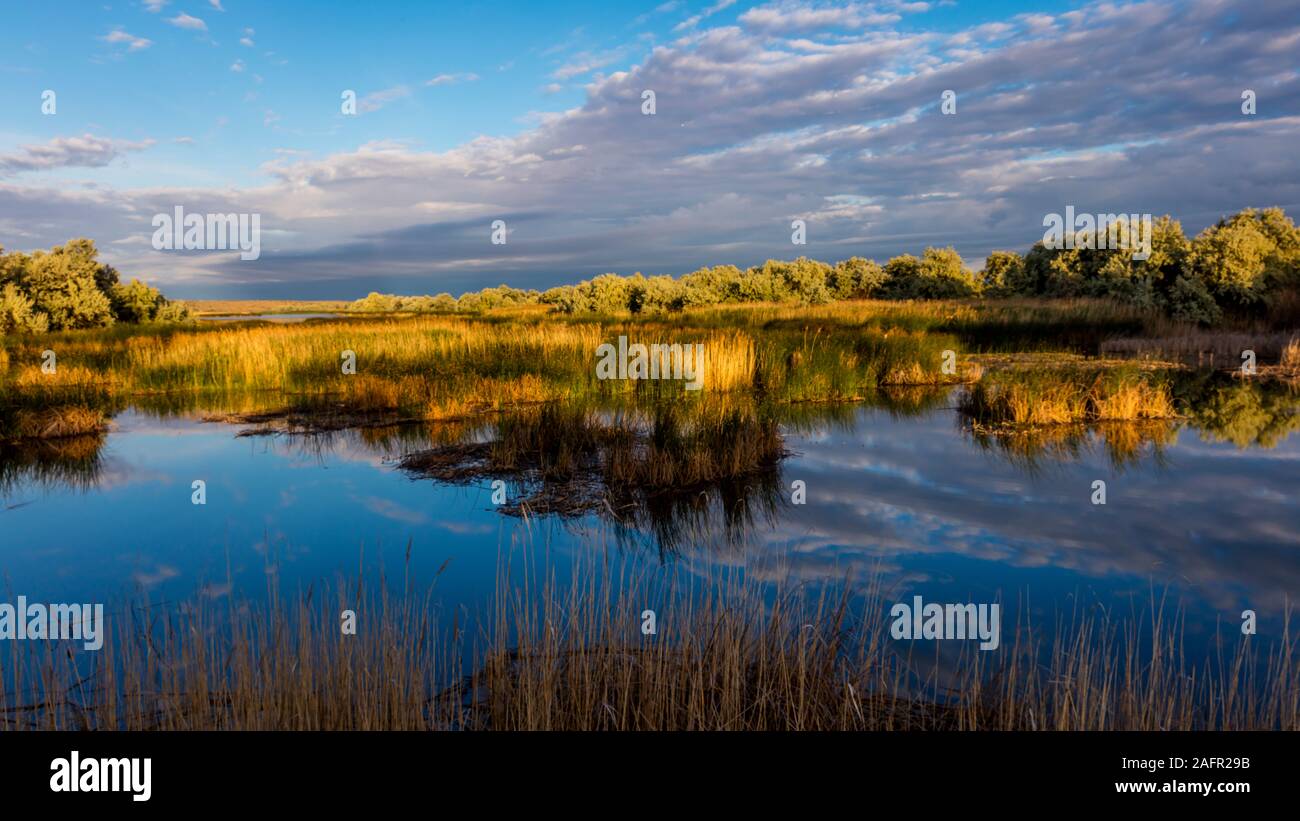 Irrigon hi-res stock photography and images - Alamy