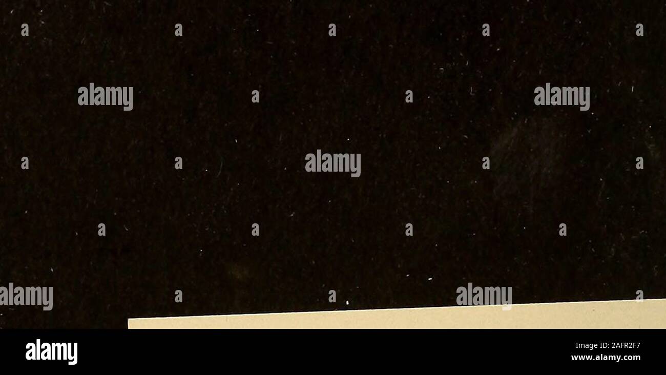 . Urinary analysis and diagnosis by microscopical and chemical ...