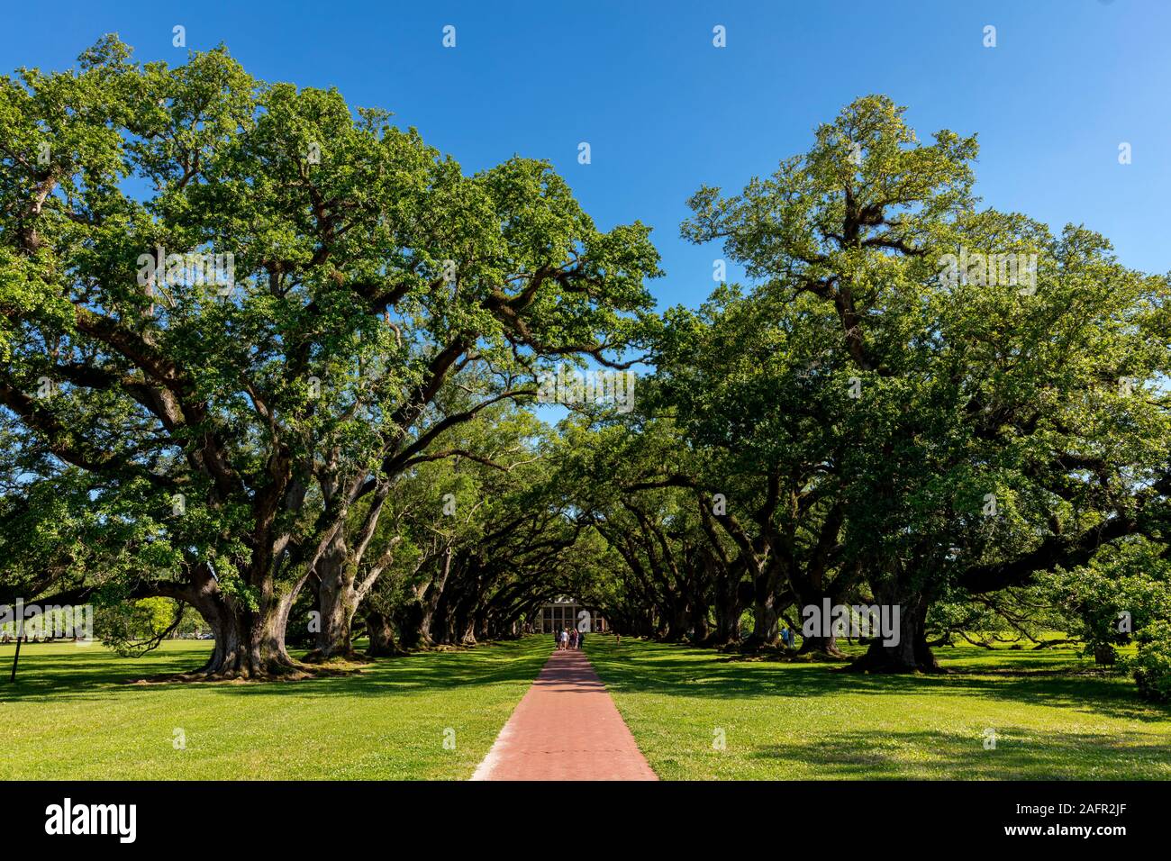 APRIL 27, 2019 , VACHERIE LOUISIANA, USA - Oak Alley Plantation off ...