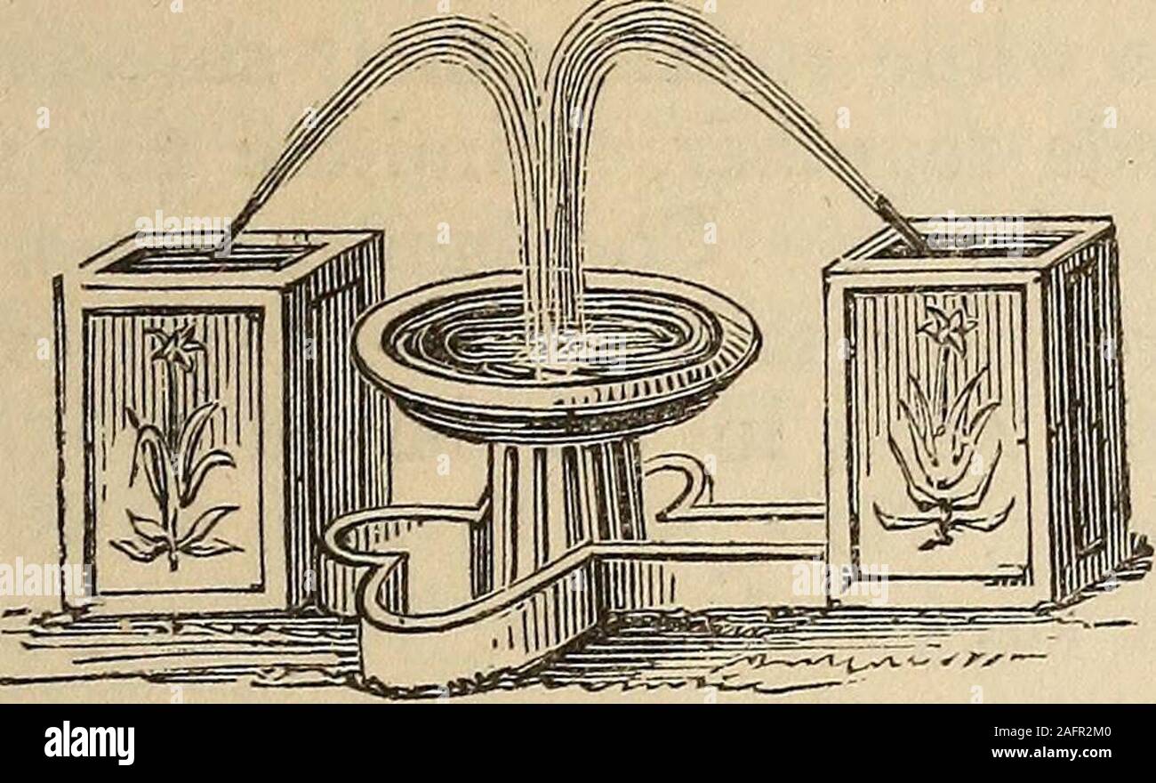Ire tree hi-res stock photography and images - Alamy