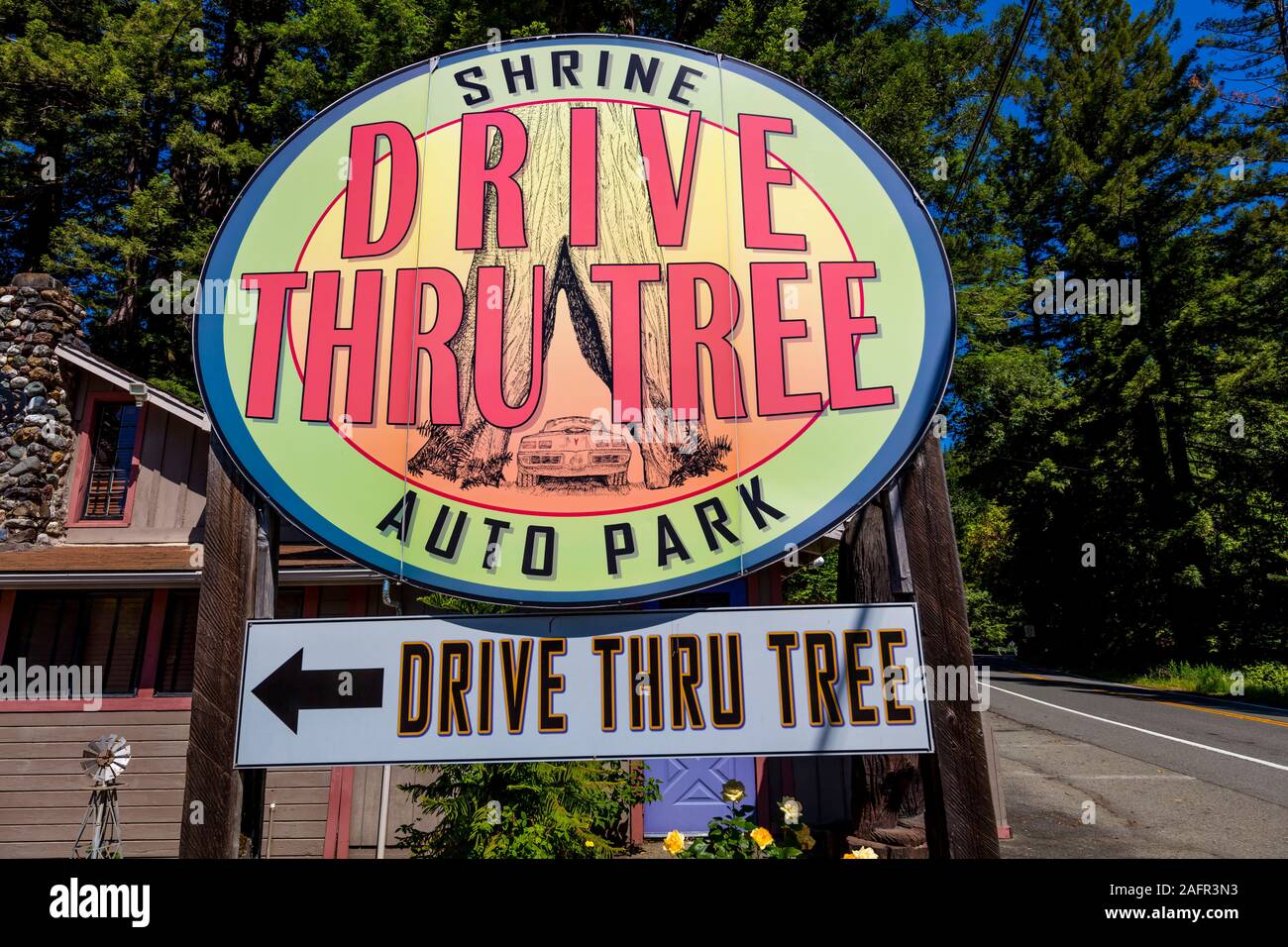 MAY 31, 2019, N CALIFORNIA, USA - Drive through Tree in Avenue of ...