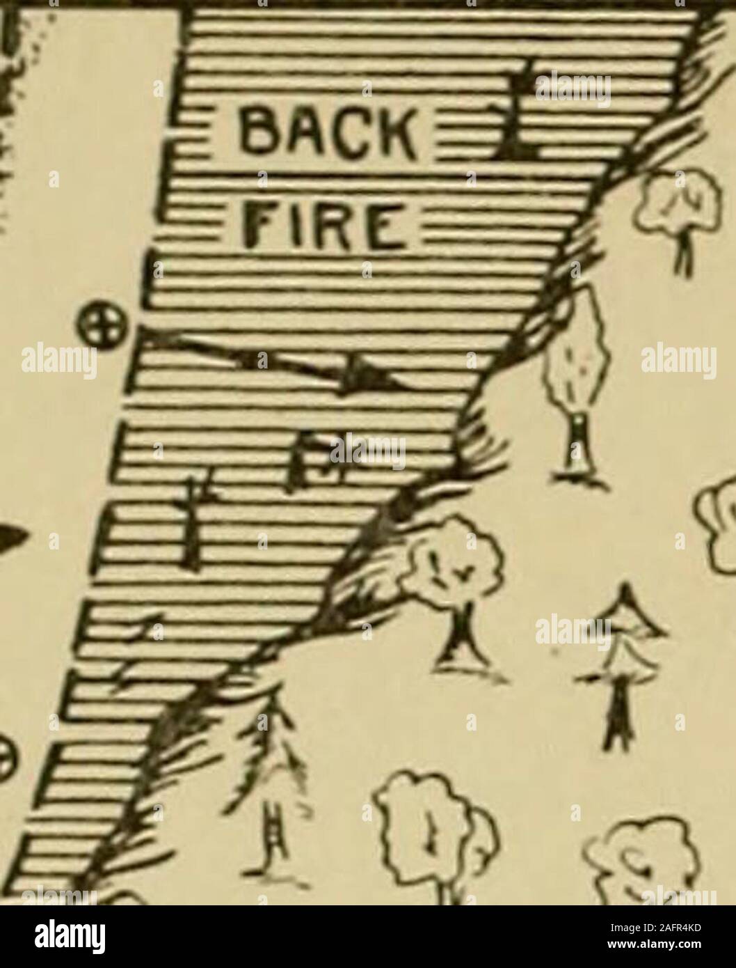 Bookidforestprotec hi-res stock photography and images - Alamy