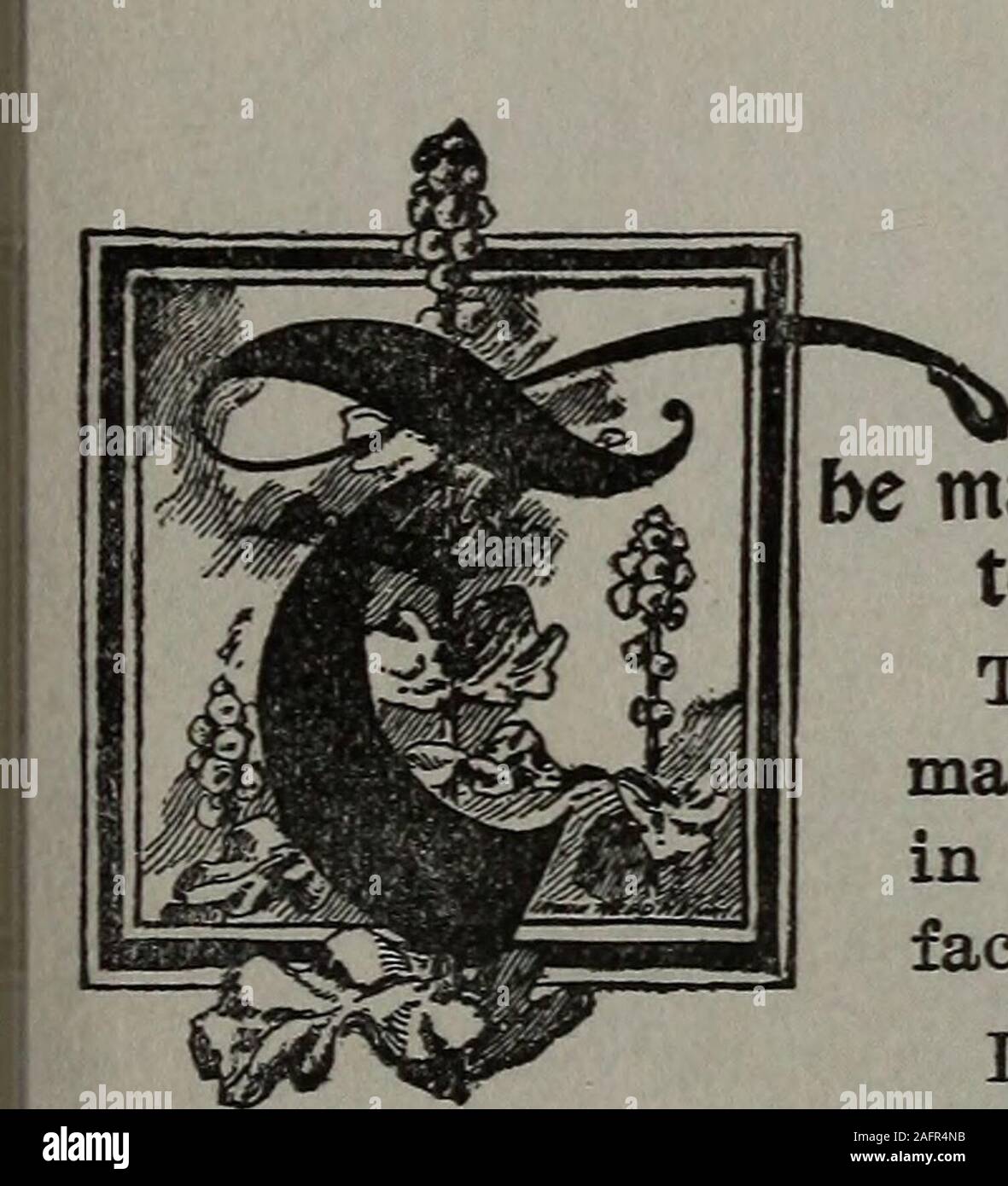 Scoffers High Resolution Stock Photography and Images - Alamy