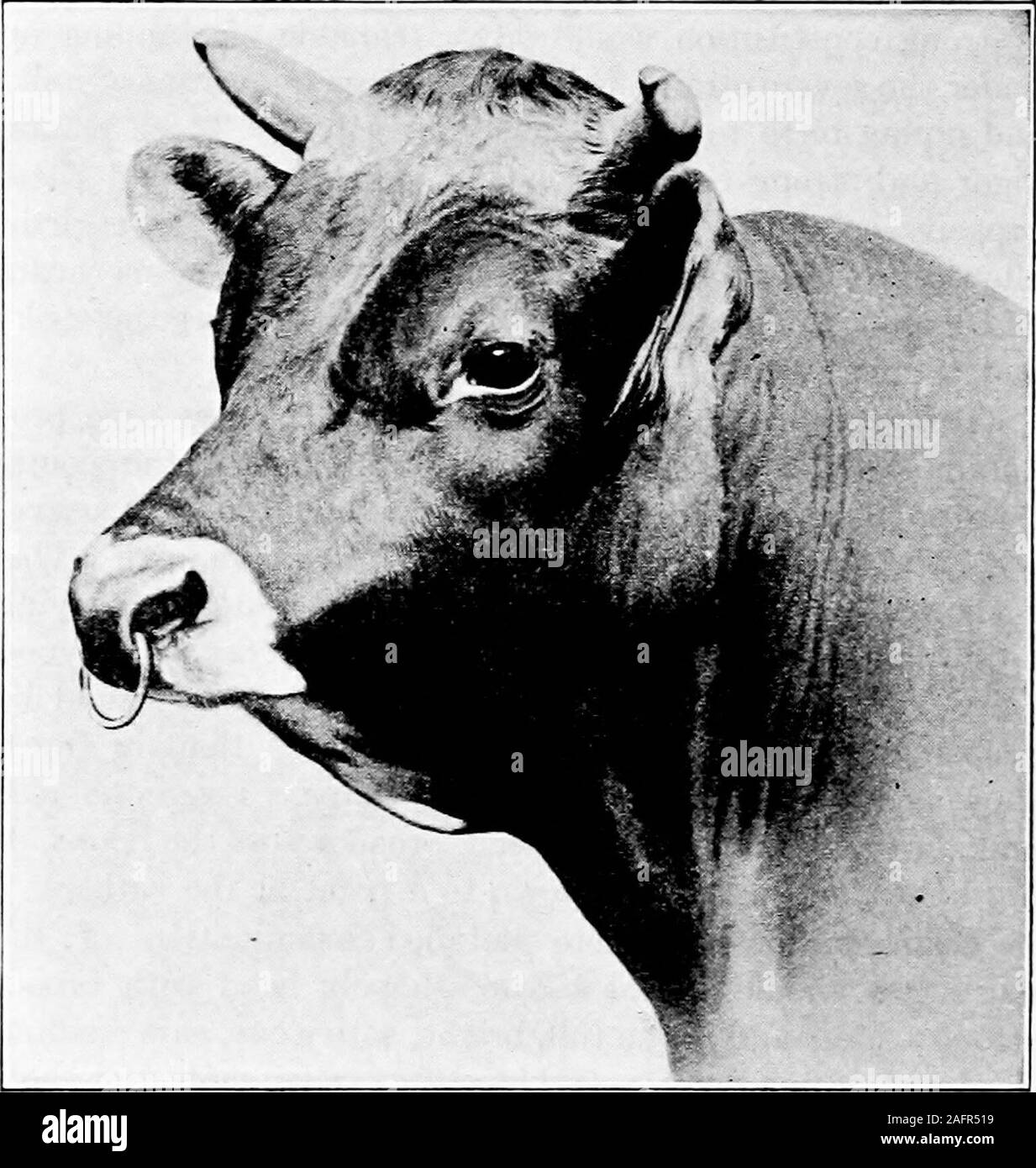 Mediumsized Black and White Stock Photos & Images - Alamy