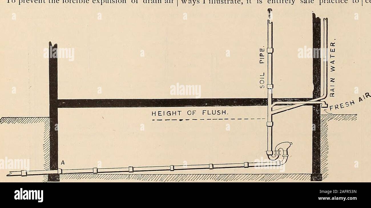 . The sanitary news : healthy homes and healthy living : a weekly ...