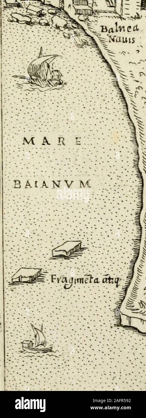 Fiir hi-res stock photography and images - Alamy