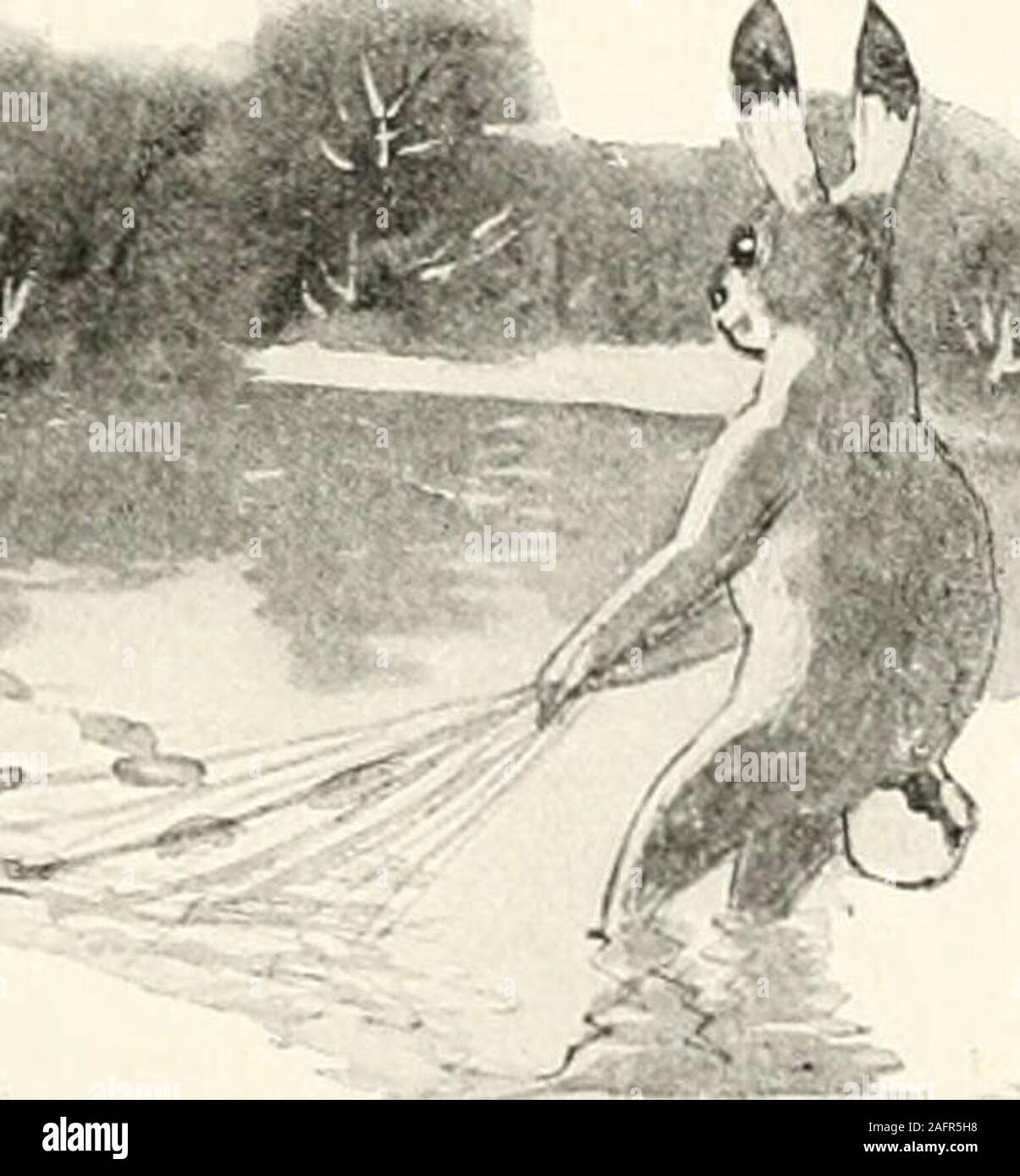 Bank river rabbit hi-res stock photography and images - Alamy