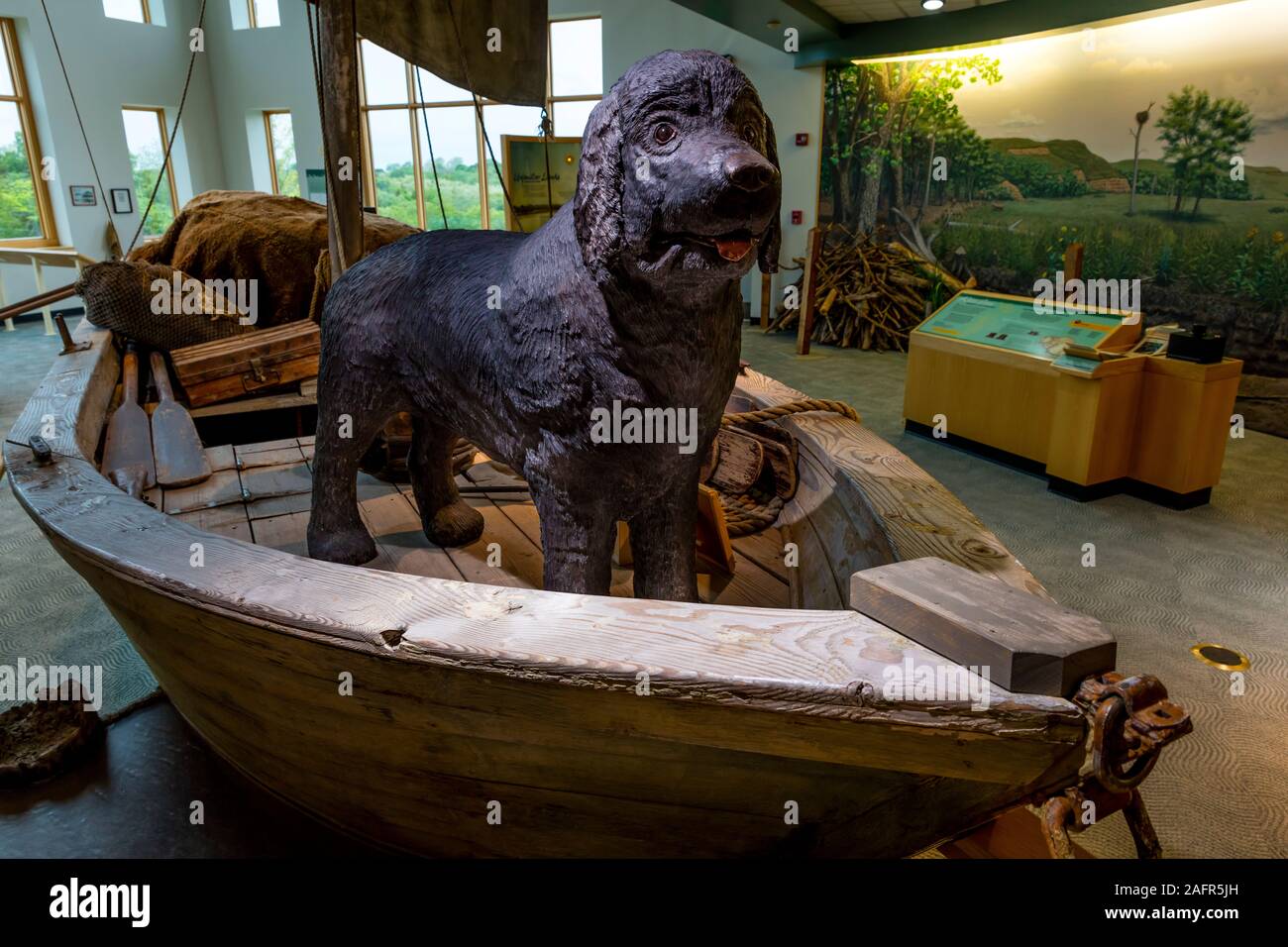 What Happened To Lewis Dog Seaman