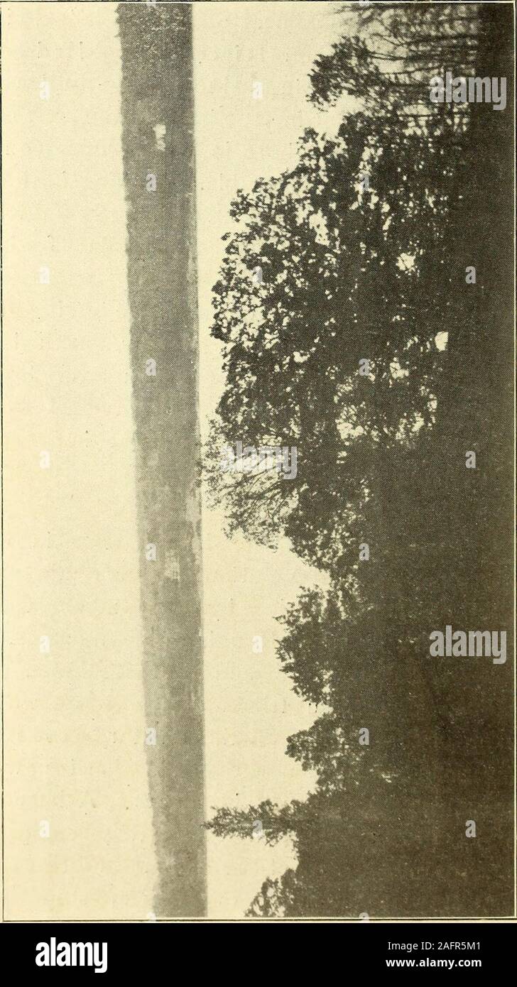 . Olde Ulster : an historical and genealogical magazine. am-bers in ...