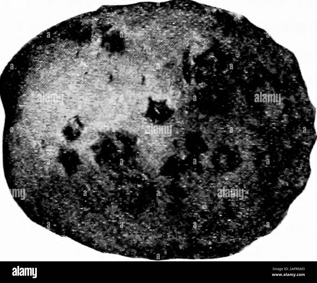 Crust scab Black and White Stock Photos & Images - Alamy