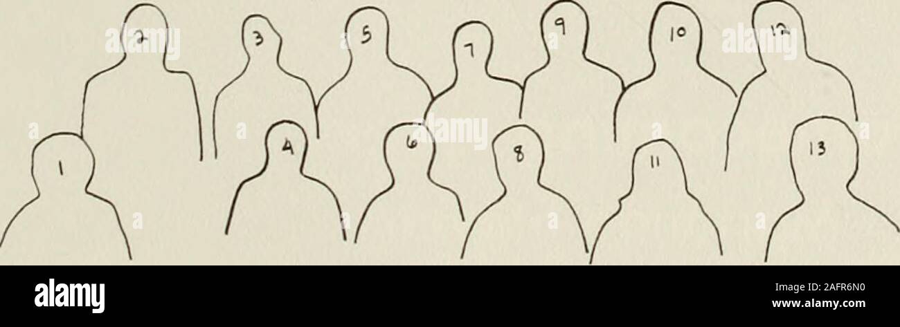 Brooks mccormick hi-res stock photography and images - Alamy