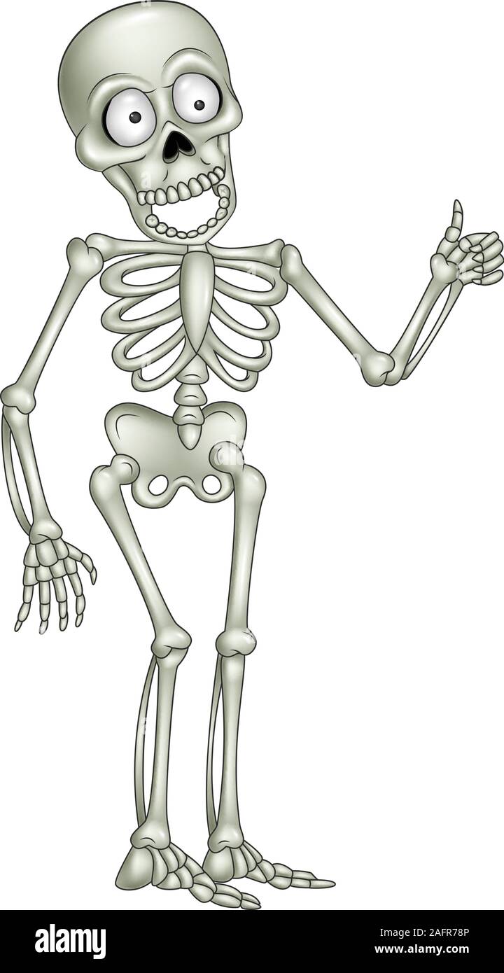 Cartoon funny skeleton isolated on white background Stock Vector Image ...