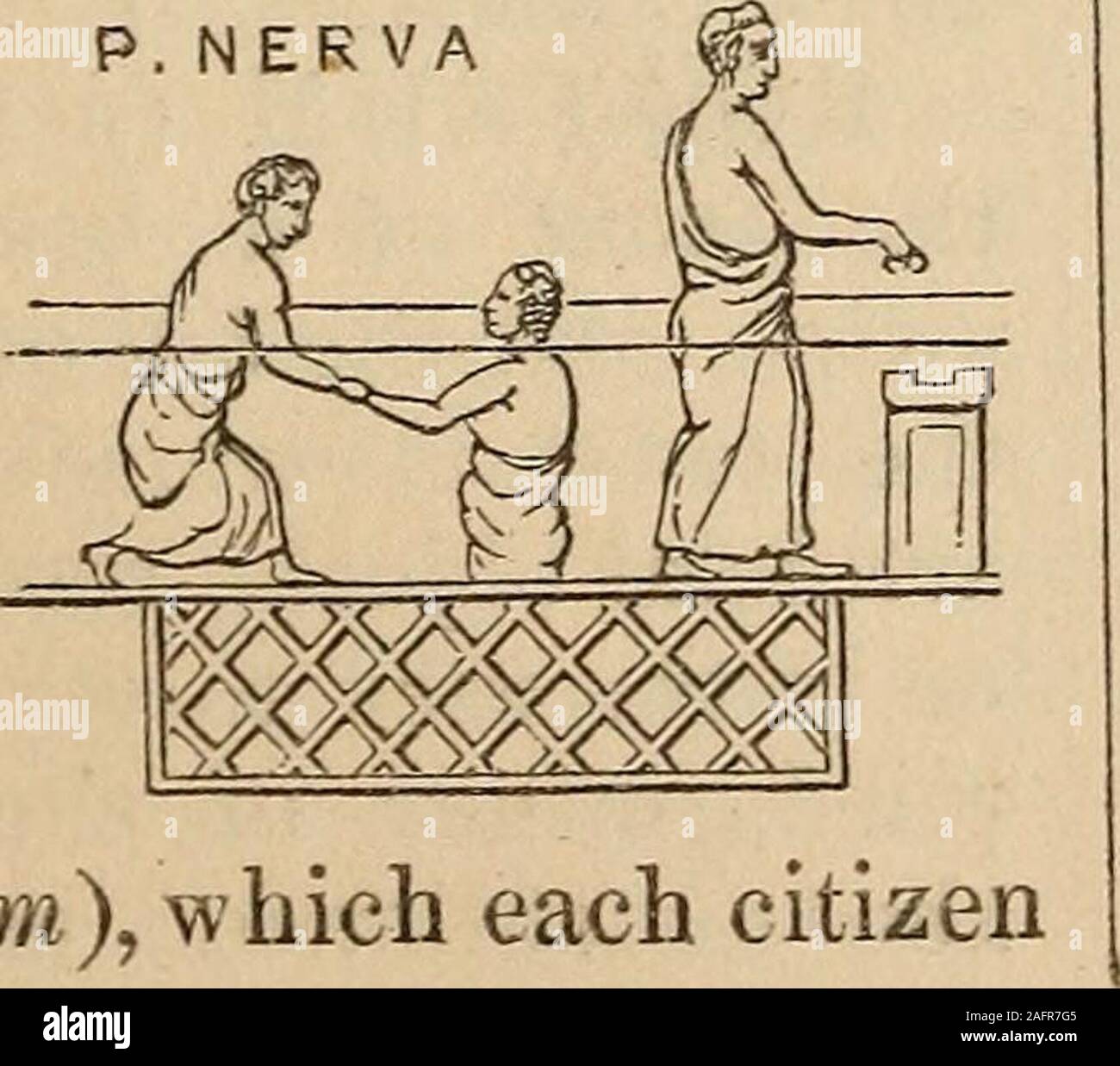 . The illustrated companion to the Latin dictionary and Greek lexicon ...