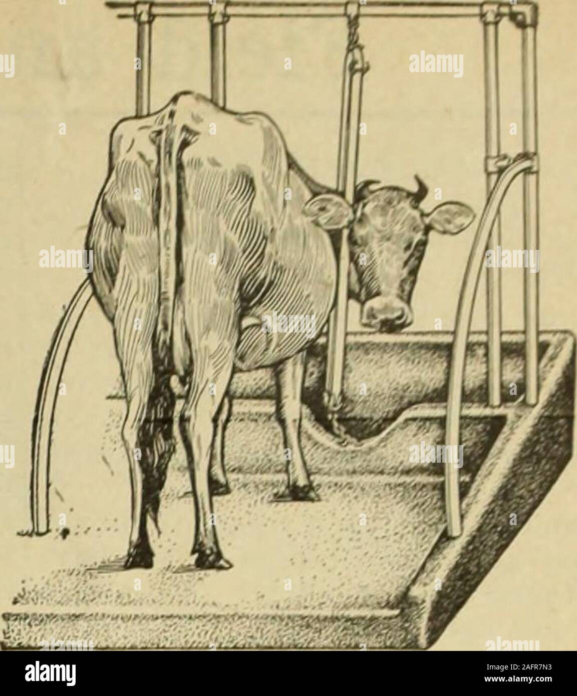 Comfort factor hi-res stock photography and images - Alamy