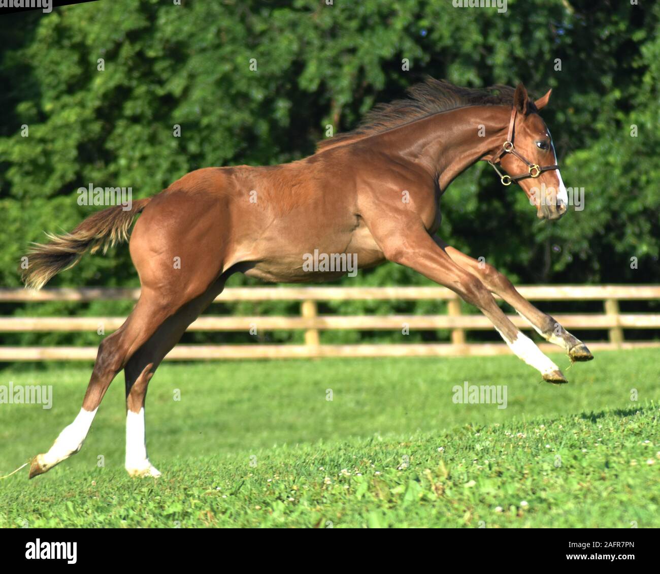 Youth leaping hi-res stock photography and images - Alamy