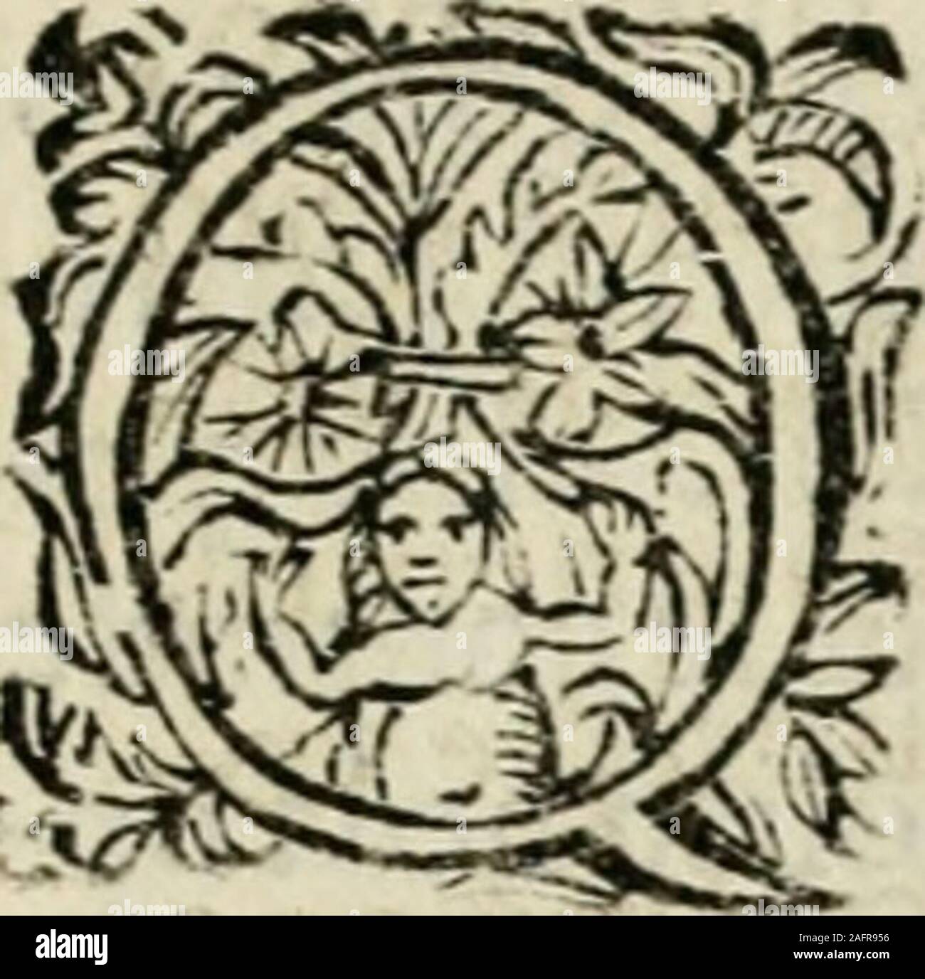 Che fou hi-res stock photography and images - Alamy