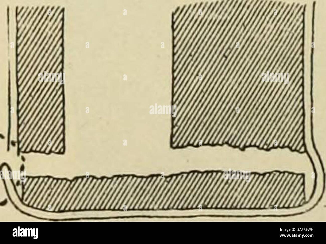 Tibia shell hi-res stock photography and images - Alamy