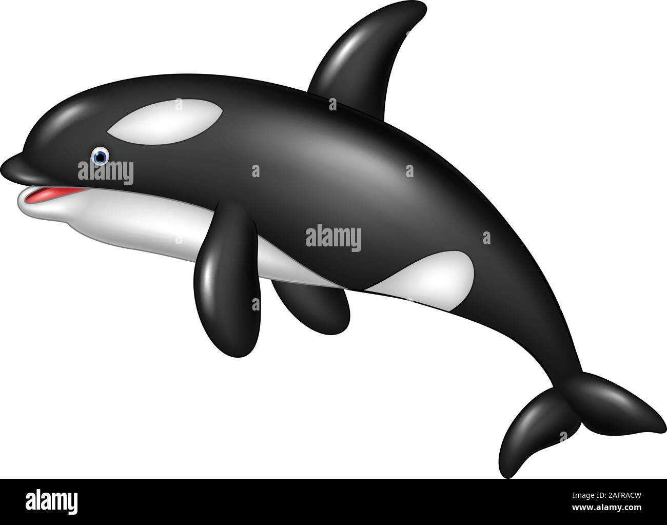 Cartoon orca isolated on white background Stock Vector Image & Art - Alamy
