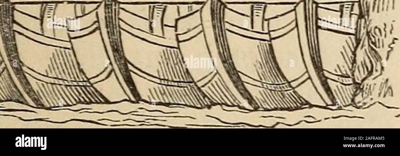 . The illustrated companion to the Latin dictionary and Greek lexicon ...