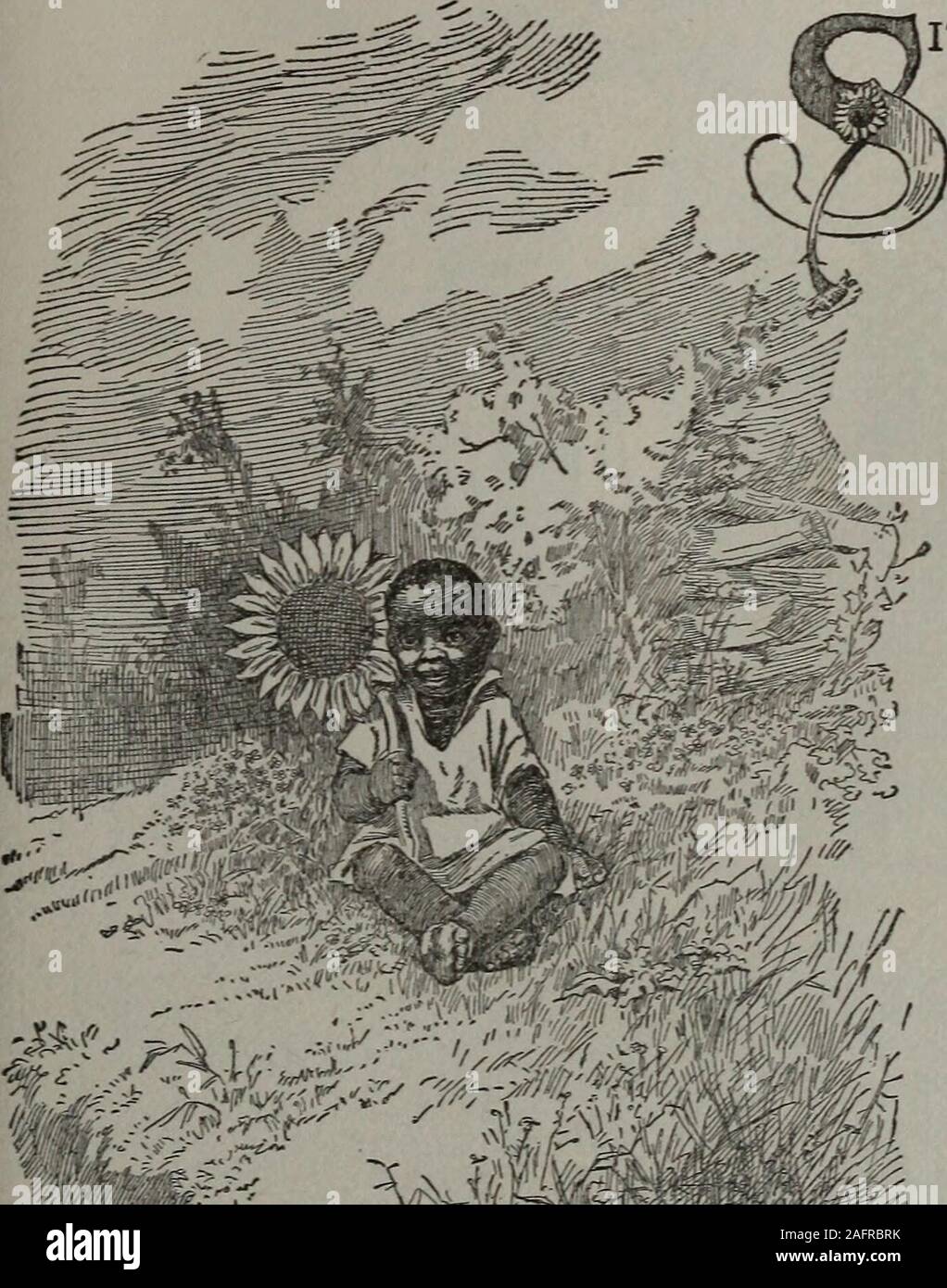 Pickaninny hi-res stock photography and images - Alamy