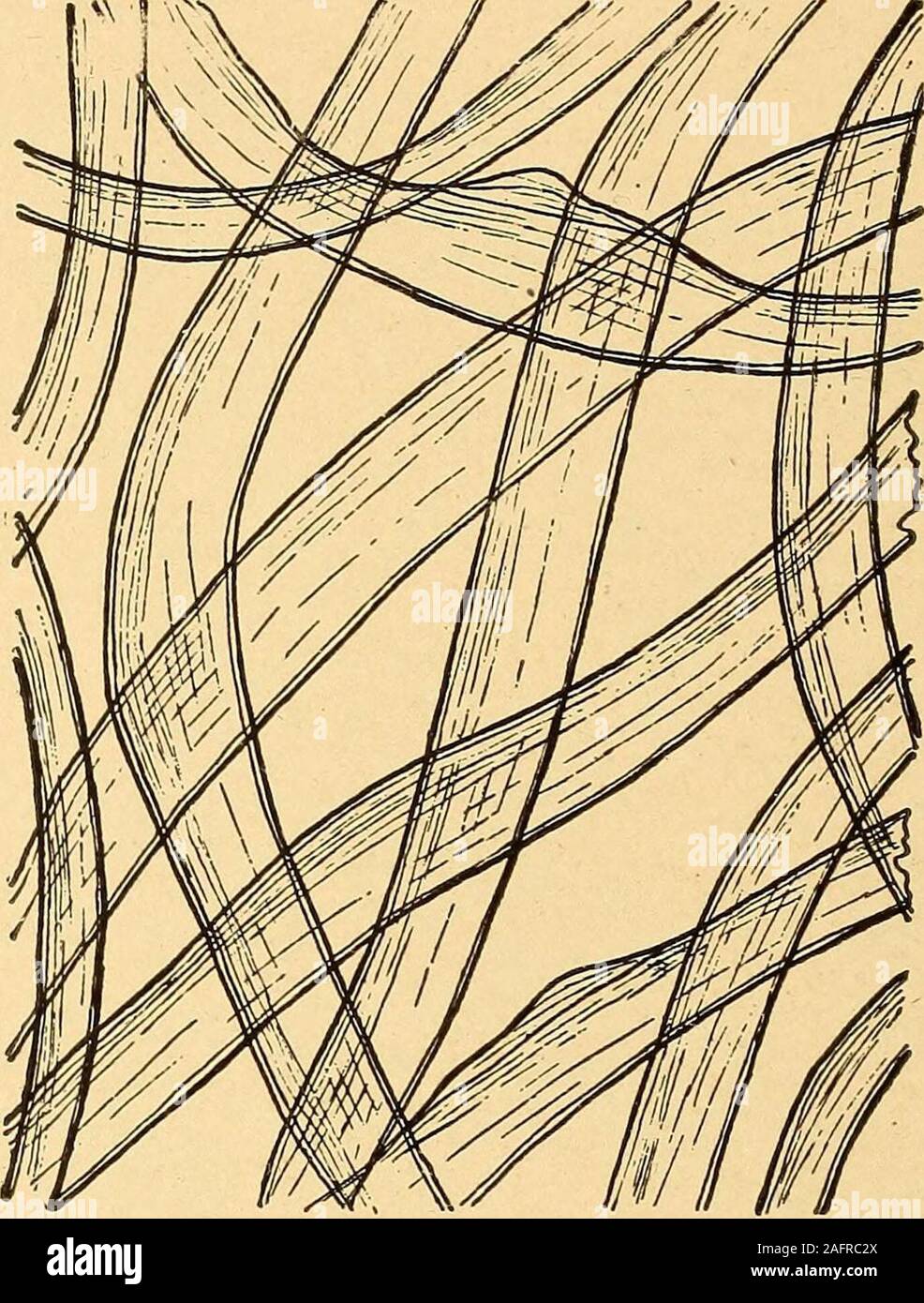 Jagged ends hi-res stock photography and images - Alamy