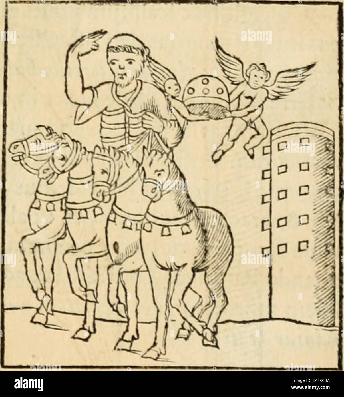 Brachium hi-res stock photography and images - Alamy