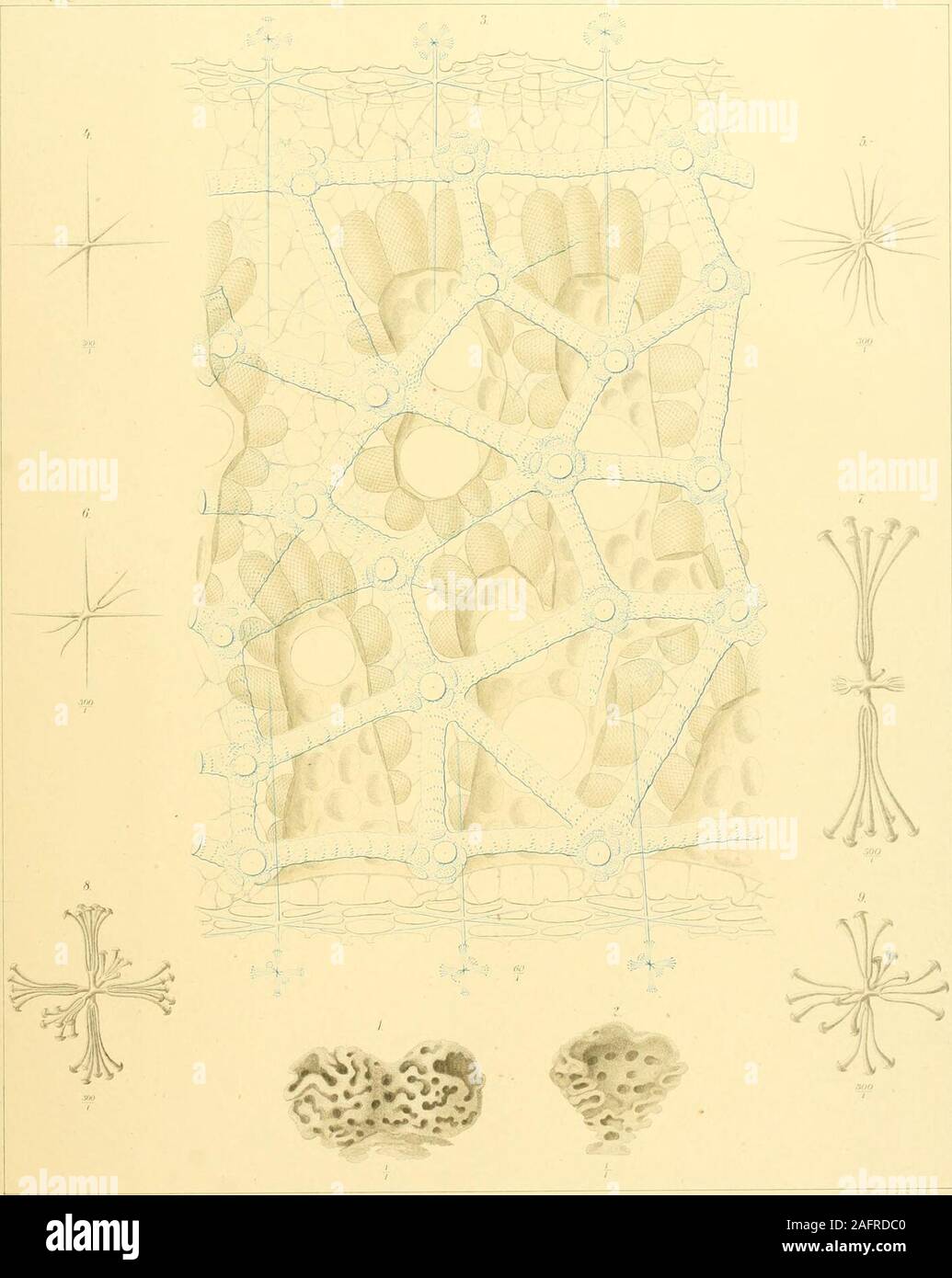 George liu hi-res stock photography and images - Alamy