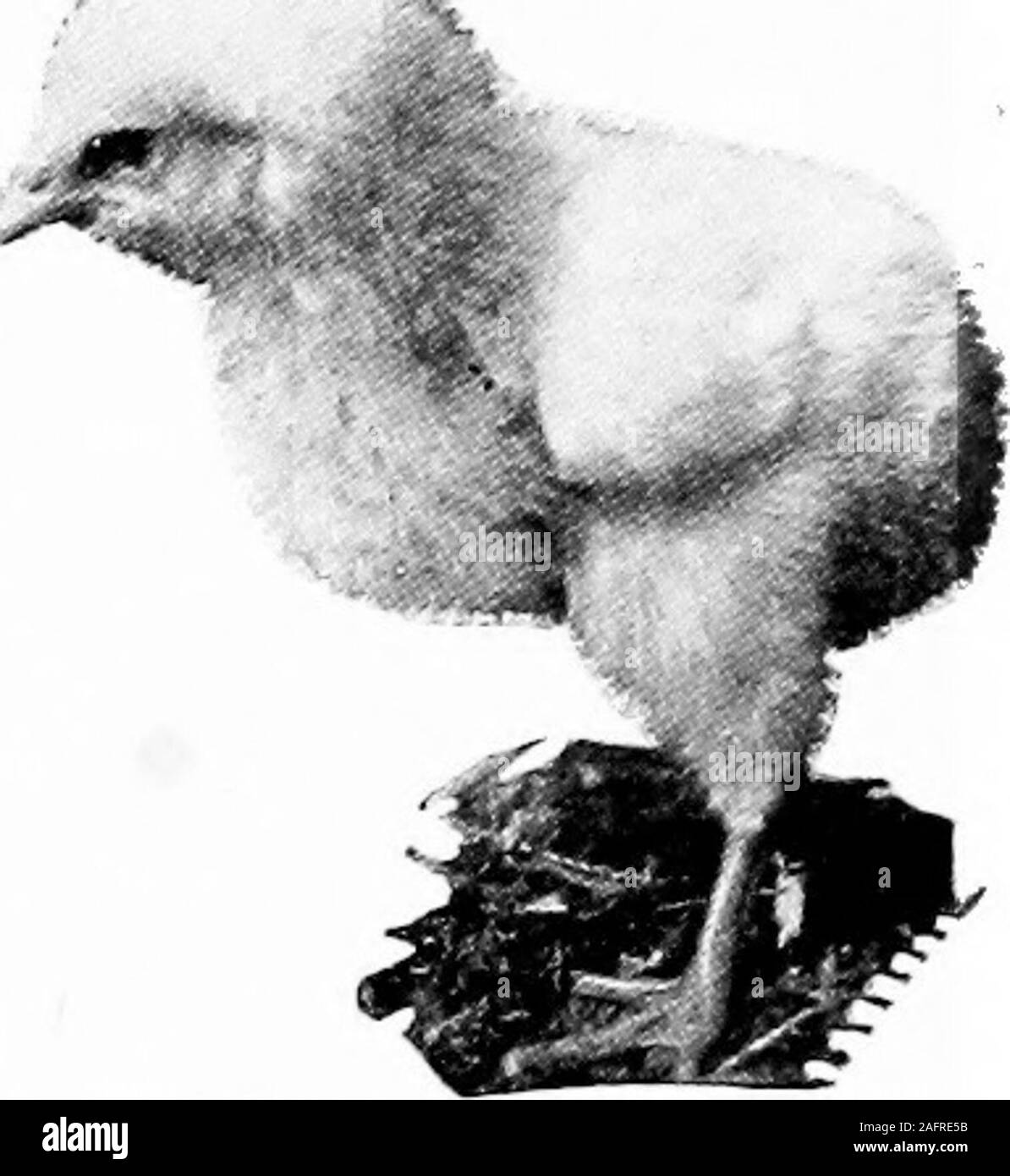 No man farm Cut Out Stock Images & Pictures - Alamy