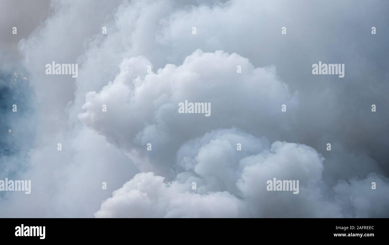 Background of white smoke, Fog or smoke background, Smog abstract ...