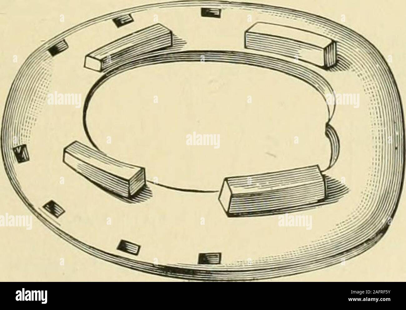 . The standard horse book, comprising the taming, controlling and ...