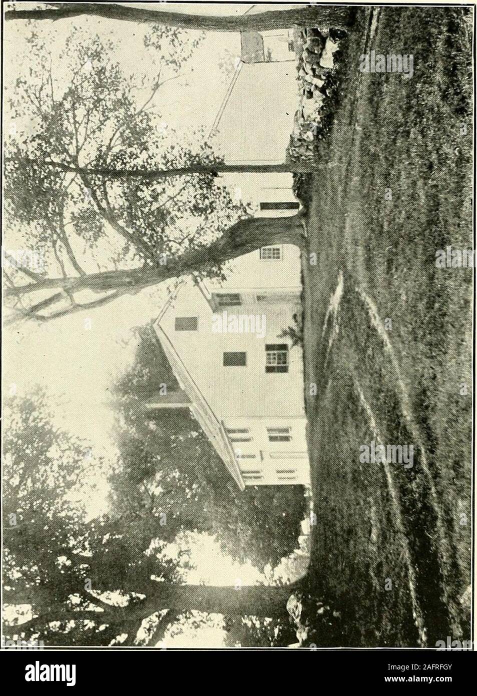 . Genealogy of the Buck family, which settled in Cambridge, afterwards ...