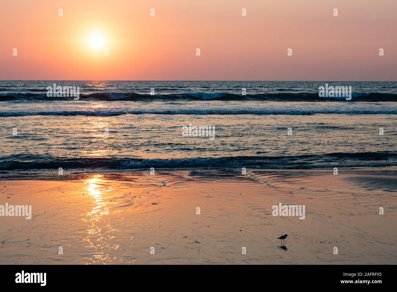 Sunset on Goa India Stock Photo - Alamy