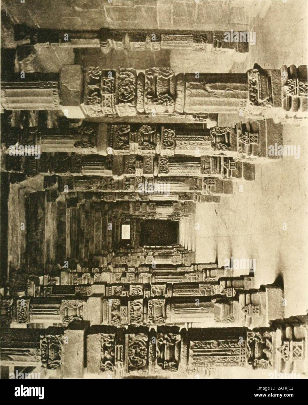 Crippled animals hi-res stock photography and images - Alamy