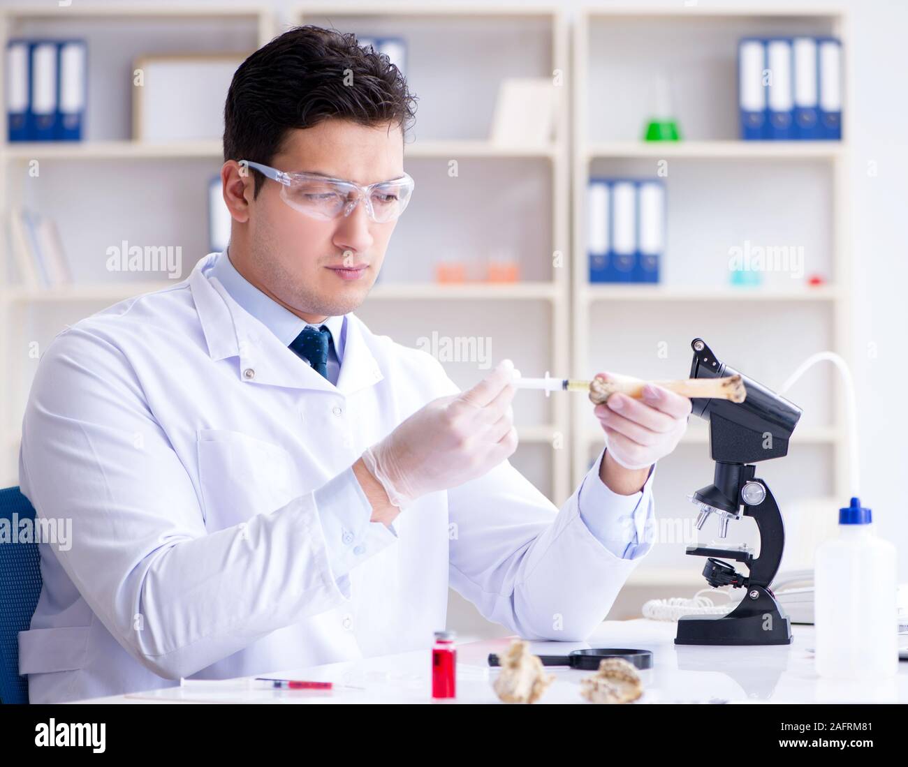 The paleontologist looking at extinct animal bone Stock Photo - Alamy