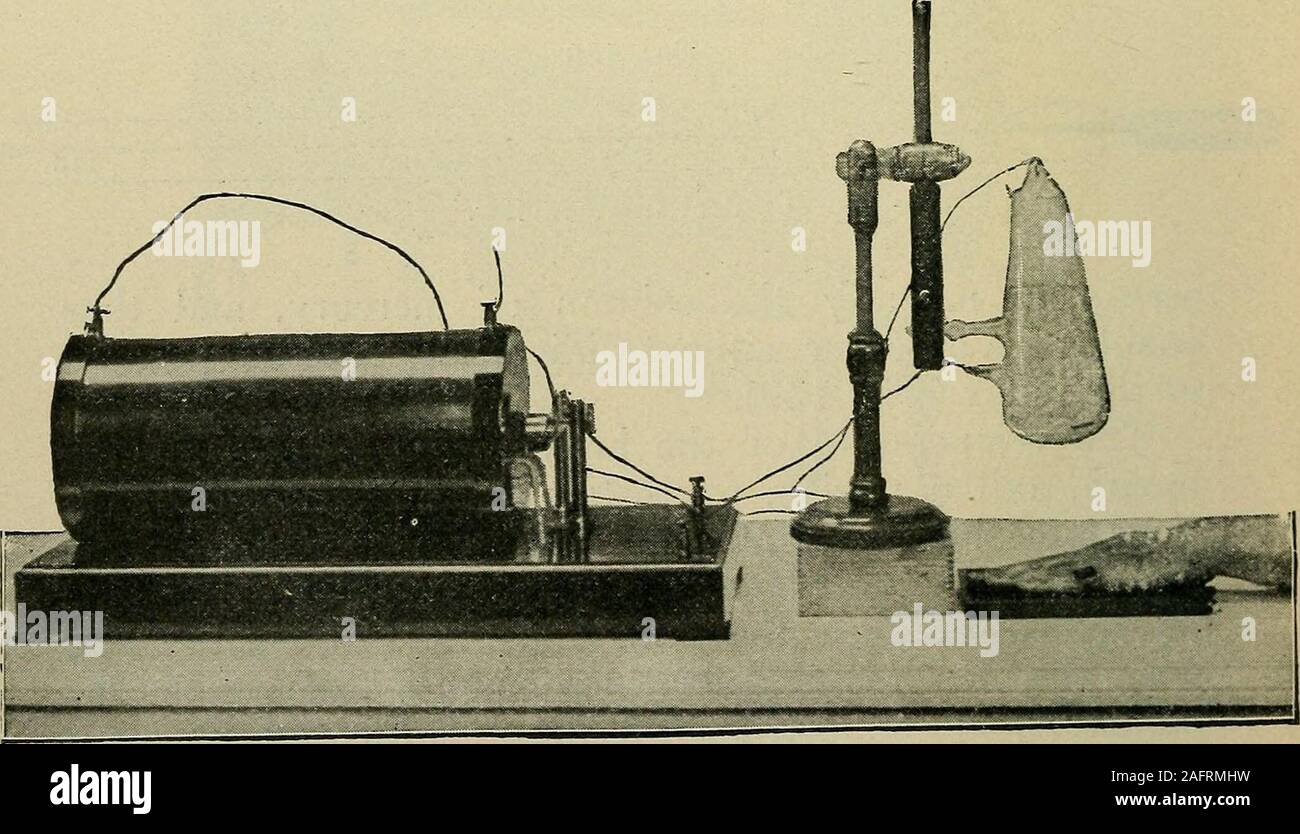 . Minor surgery and bandaging; including the treatment of fractures and ...