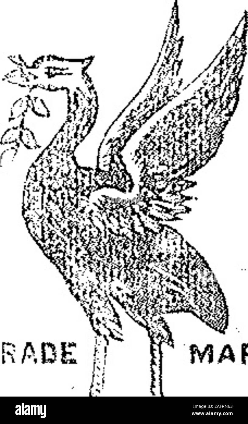 La poderosa ii hi-res stock photography and images - Alamy