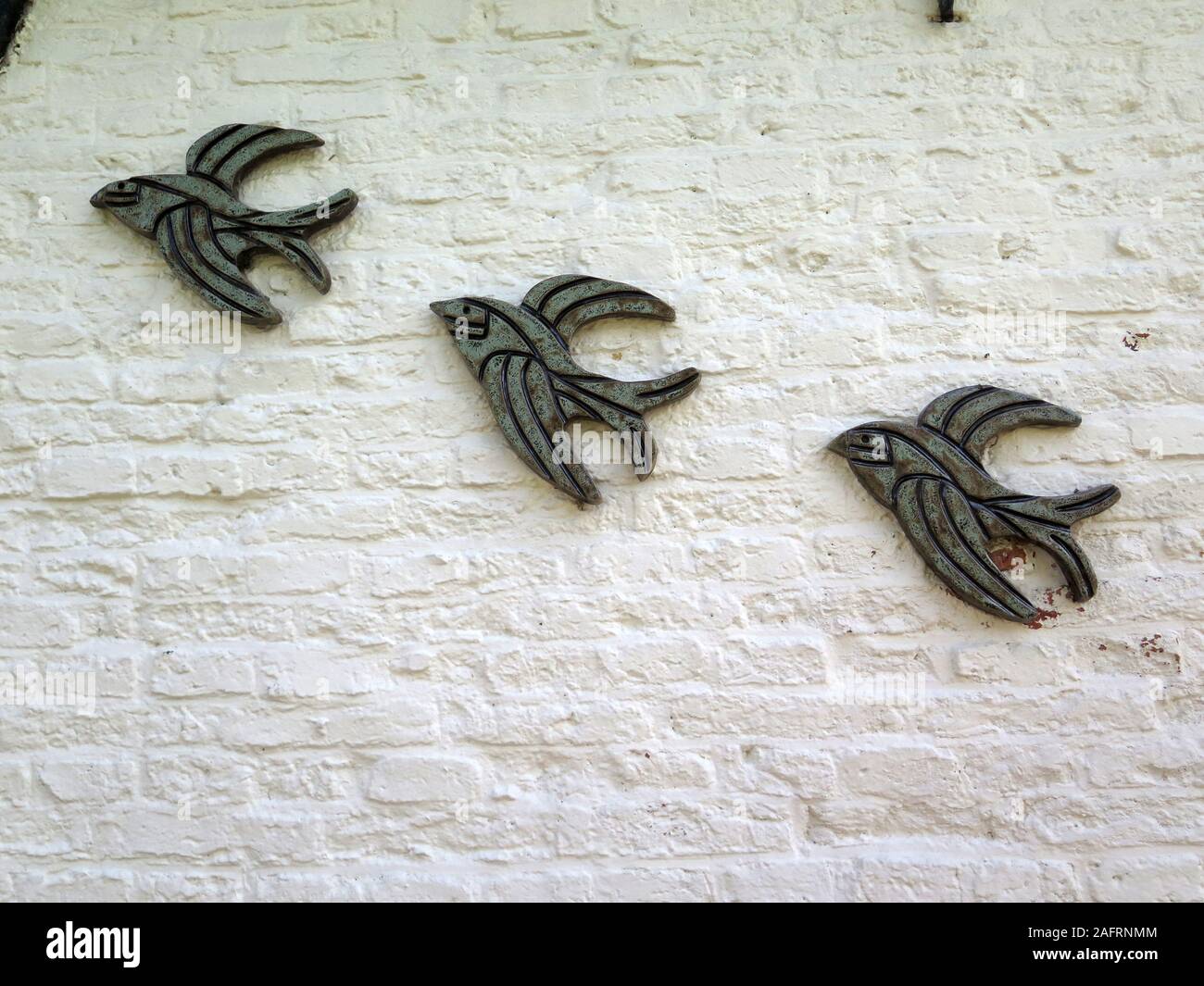 Three flying fish hi-res stock photography and images - Alamy
