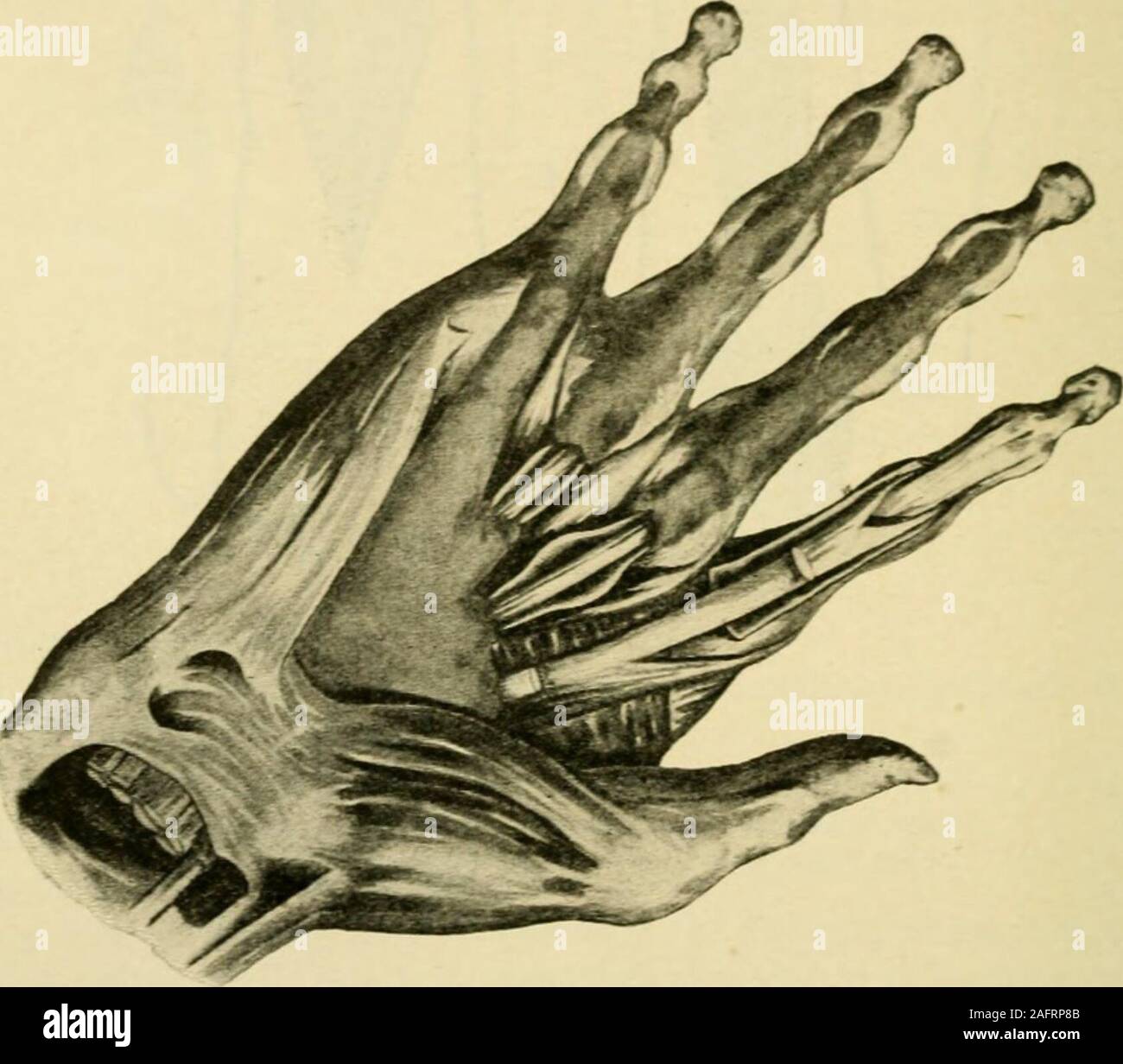 1394 1398 hi-res stock photography and images - Alamy