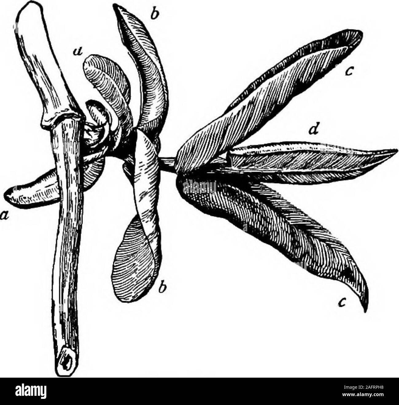 Un rolling leaves hi-res stock photography and images - Alamy