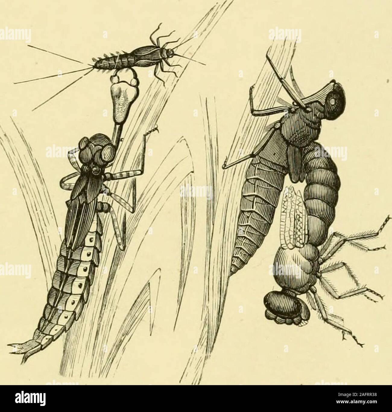 Water mechanically suspended hi-res stock photography and images - Alamy