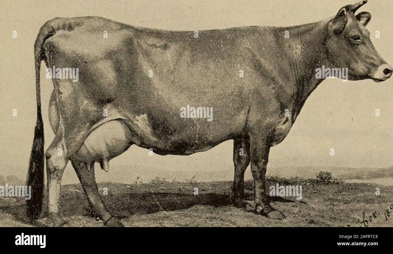 Milk coma hi-res stock photography and images - Alamy