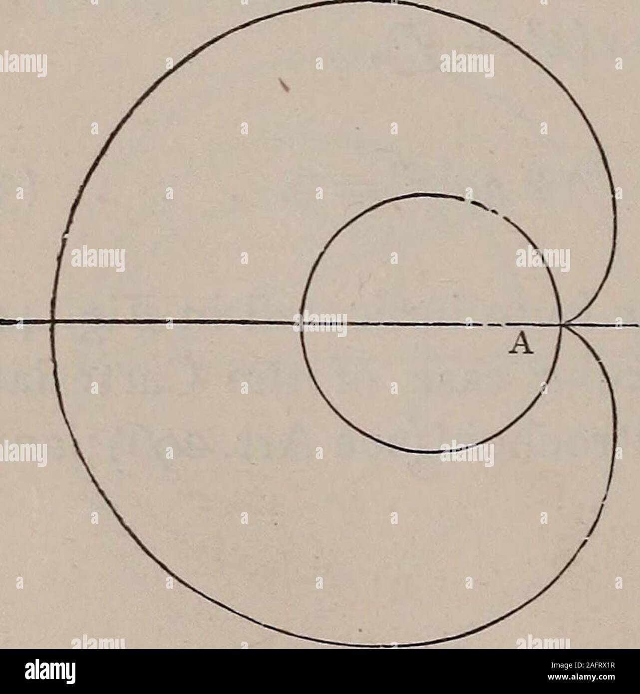 Limacon hi-res stock photography and images - Alamy