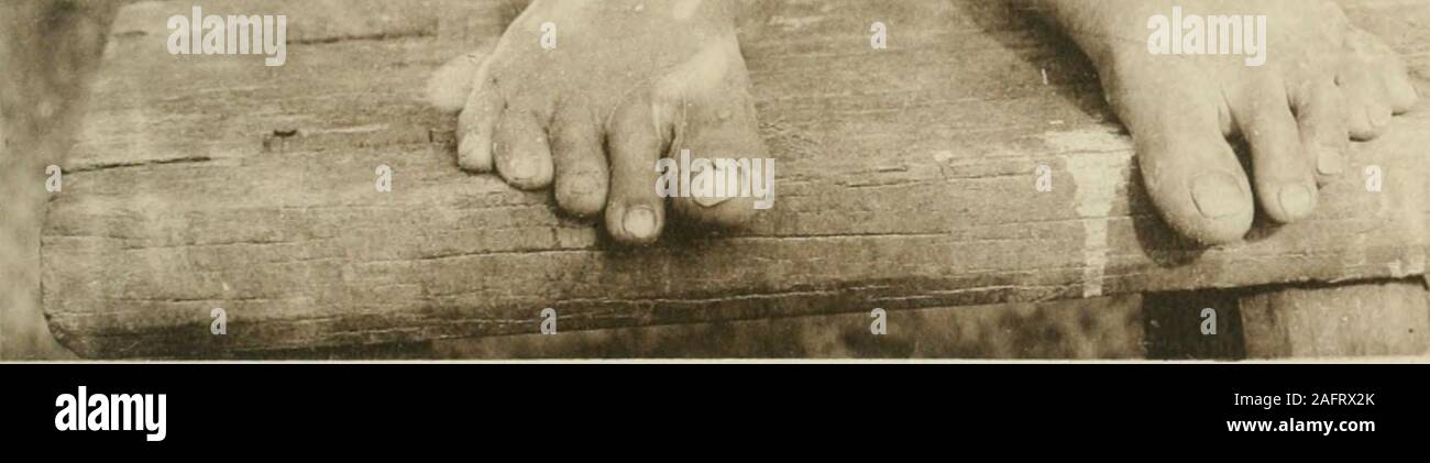 Xii tribes hi-res stock photography and images - Alamy