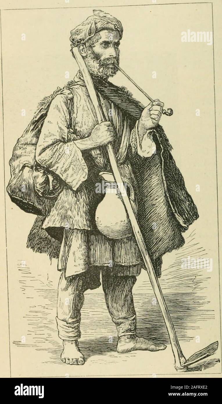 Supple plants hi-res stock photography and images - Alamy