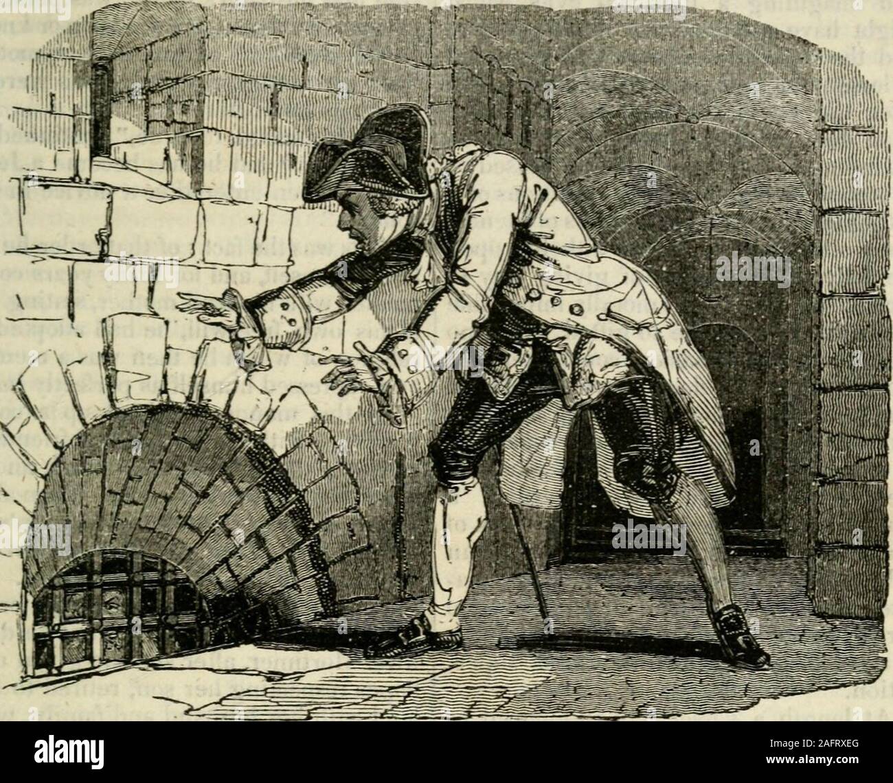 Hind leg claws hi-res stock photography and images - Alamy