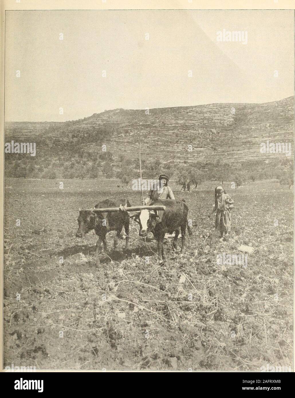 Beth horon hi-res stock photography and images - Alamy