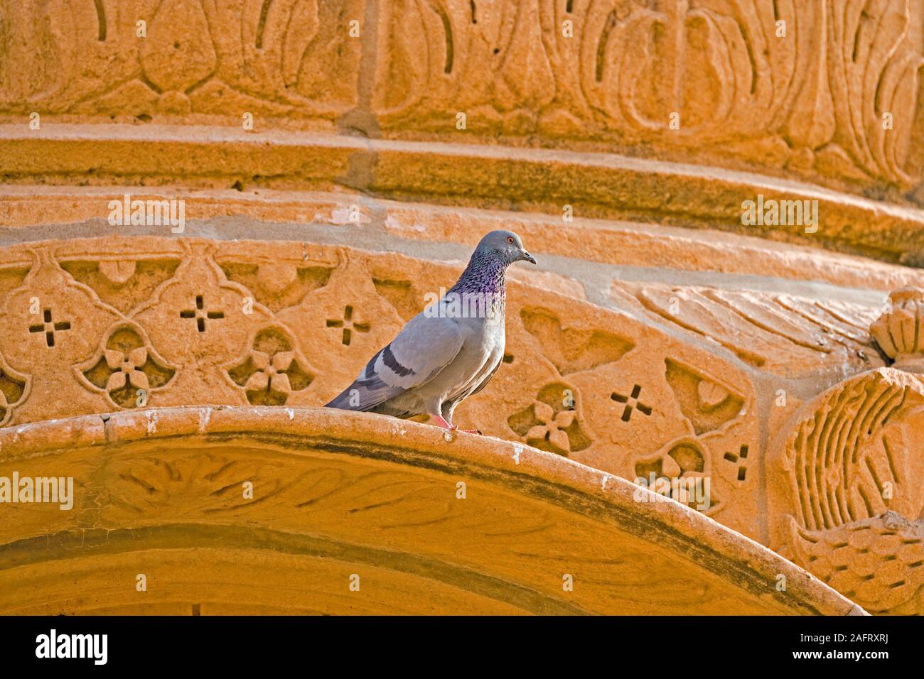 Stone carved doves hi-res stock photography and images - Alamy